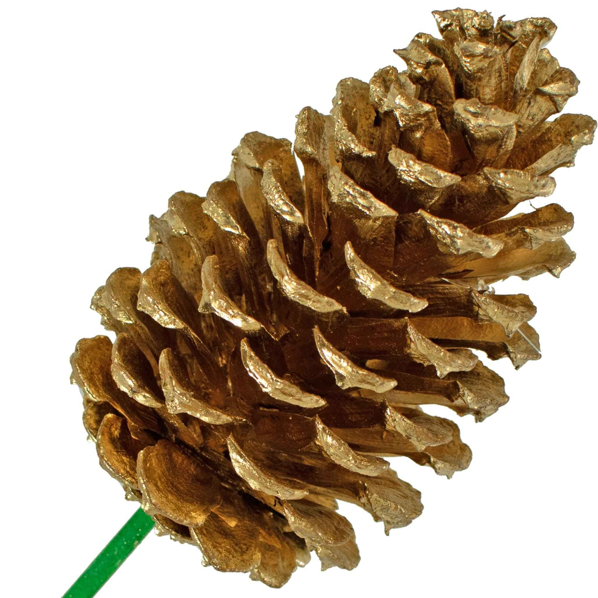 Gold Painted Pine Cones Christmas Decorations Natural Elements Accents ...