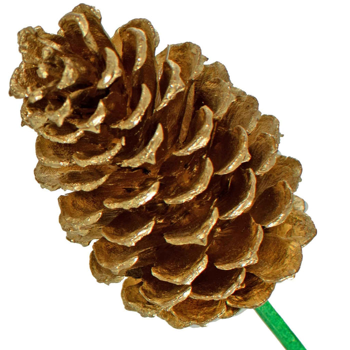 Gold Painted Pine Cones Christmas Decorations Natural Elements Accents ...